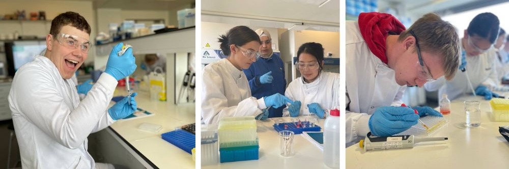 Clinical Skills and Medical Research | 5 Day Course | BioGrad