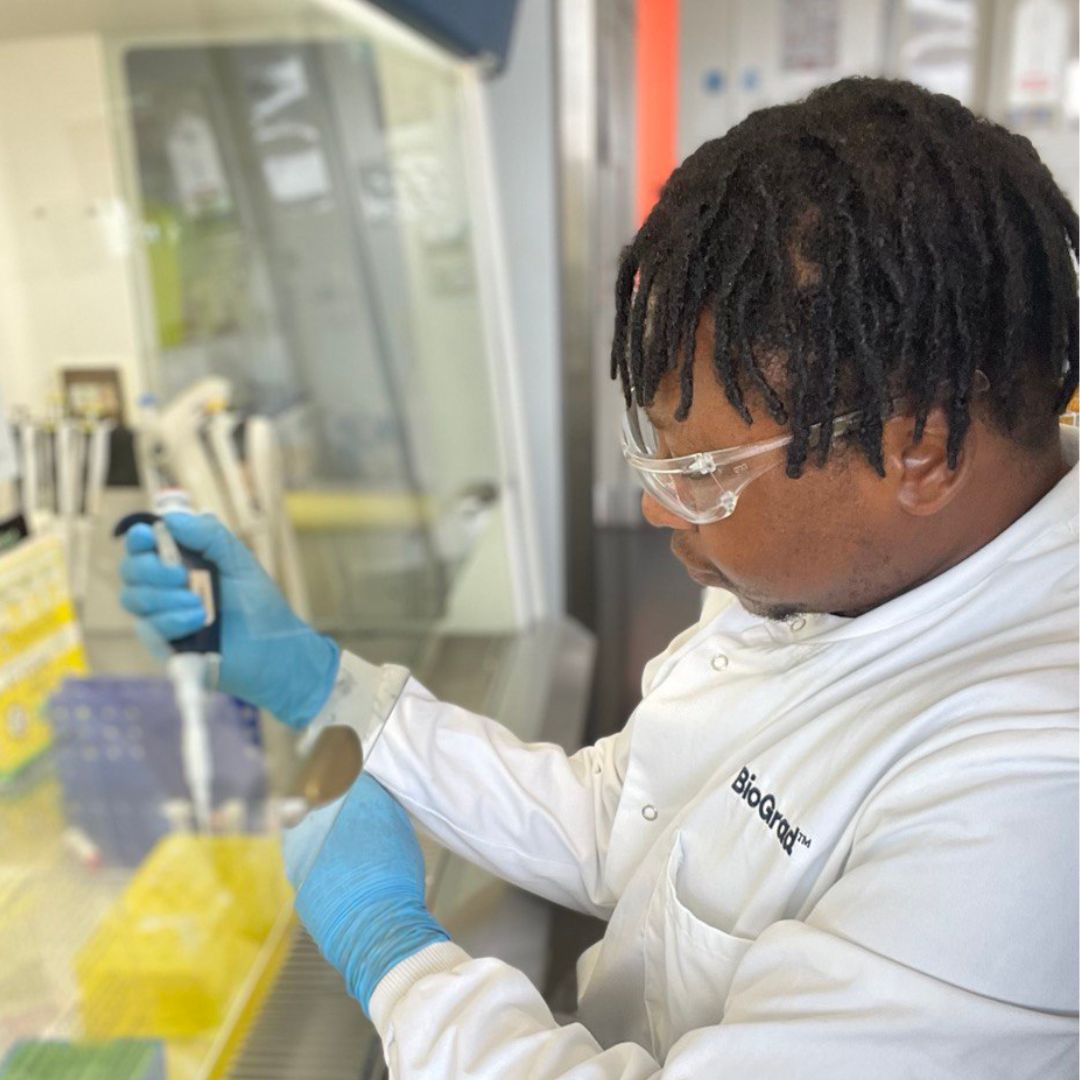 Mammalian Cell Culture Skills Bootcamp | BioGrad