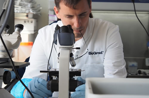 Microbiology | 2 Day Course | BioGrad