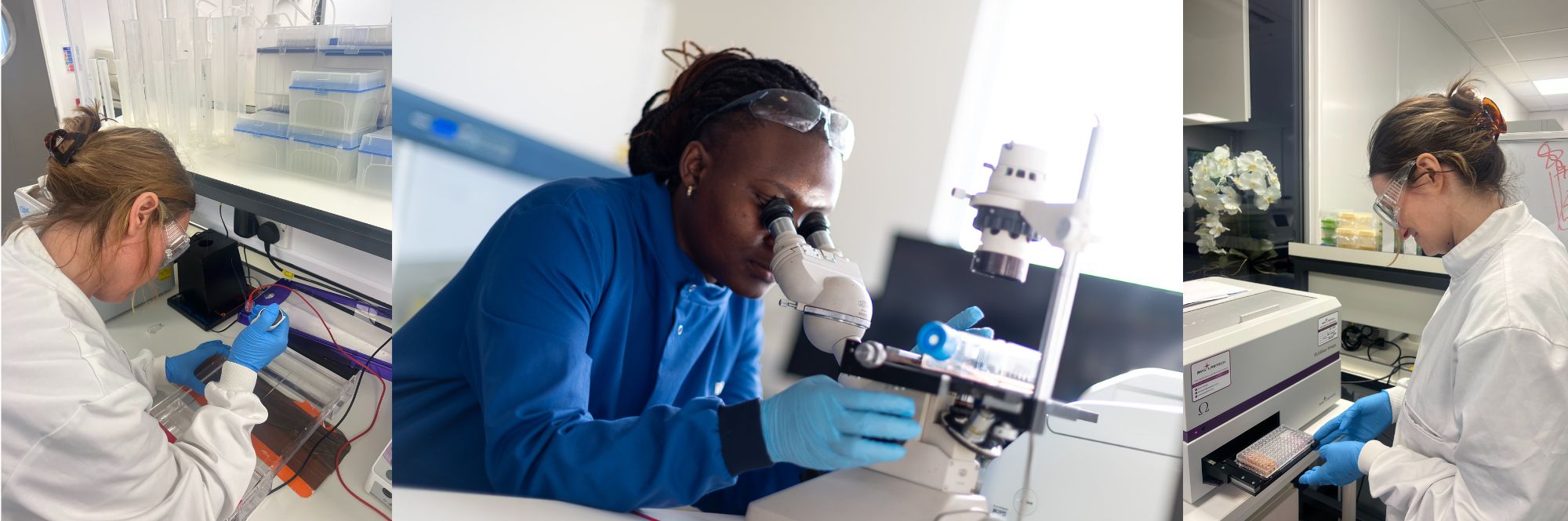 Mammalian Cell Culture | 2 Day Course | BioGrad