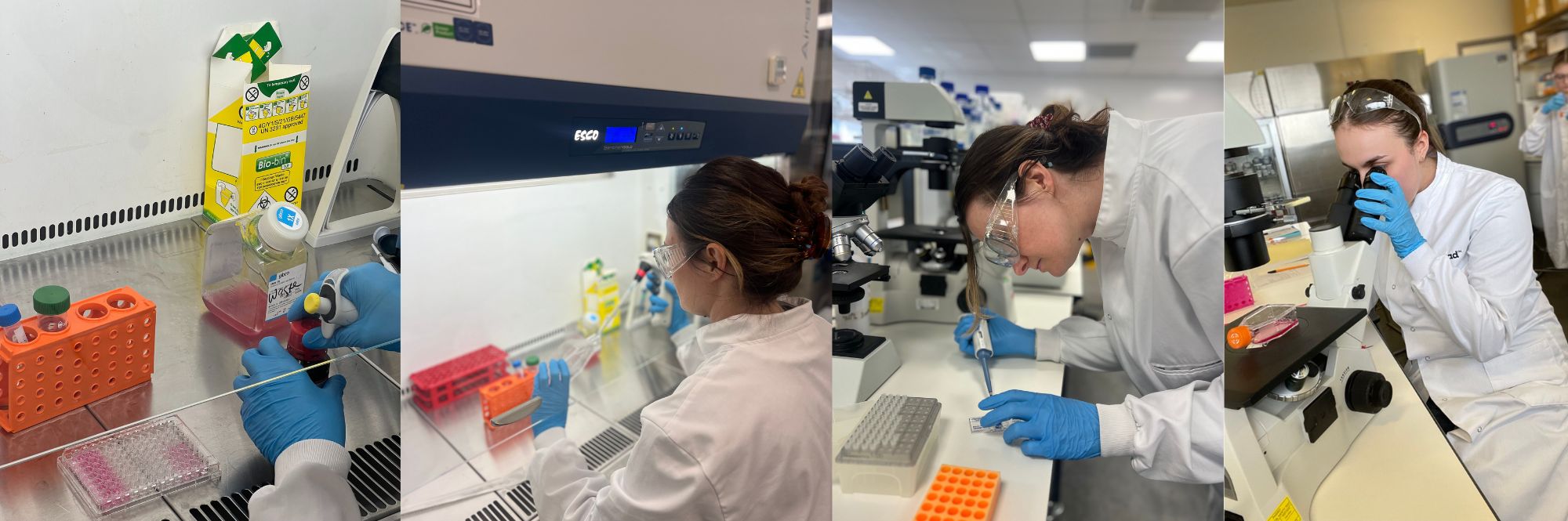 Mammalian Cell Culture | 2 Day Course | BioGrad