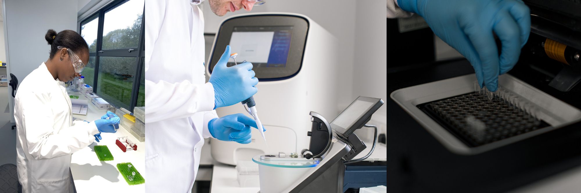 qPCR & Genetic Analysis | 2 Day Course | BioGrad